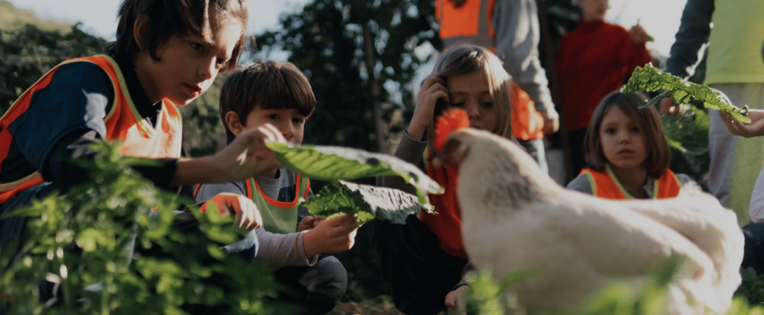 Community Development in Spain | Projects Abroad